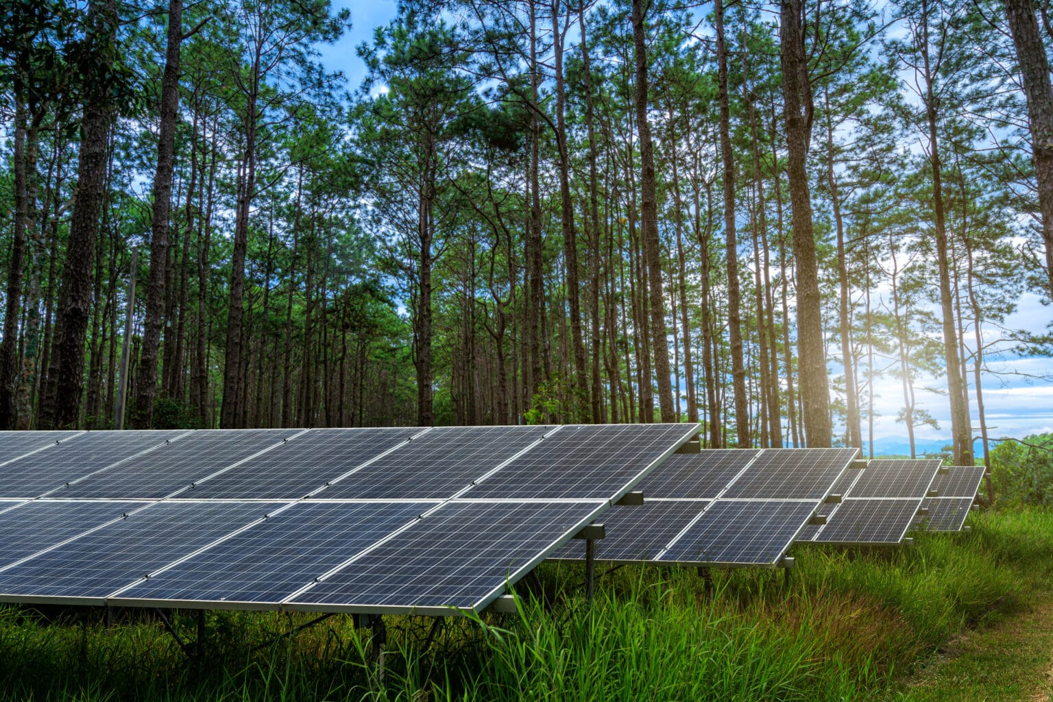 Solar energy in Poland | Blog - ecoABM