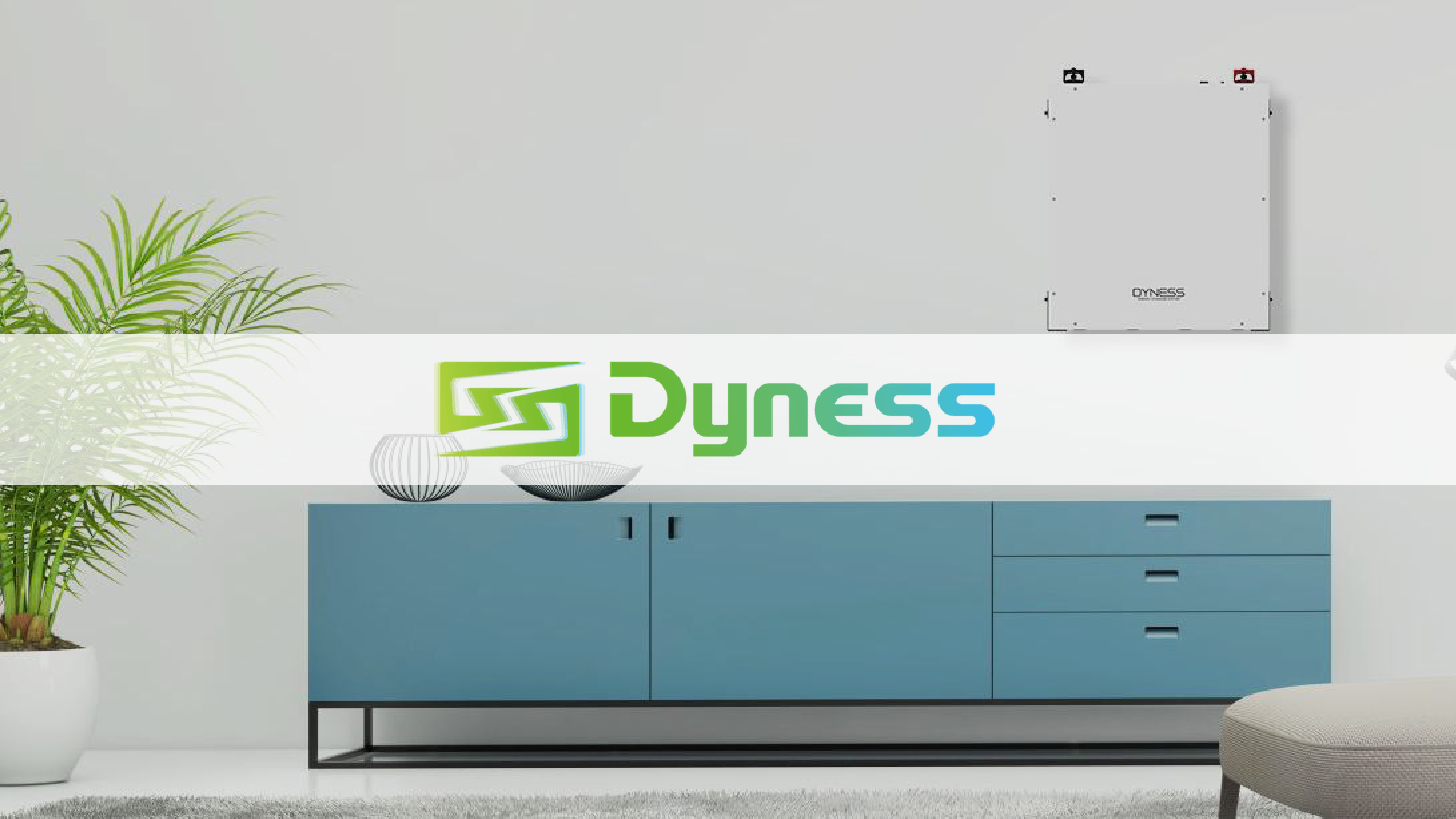 Dyness – Authorized Distributor | Aktualności - ecoABM